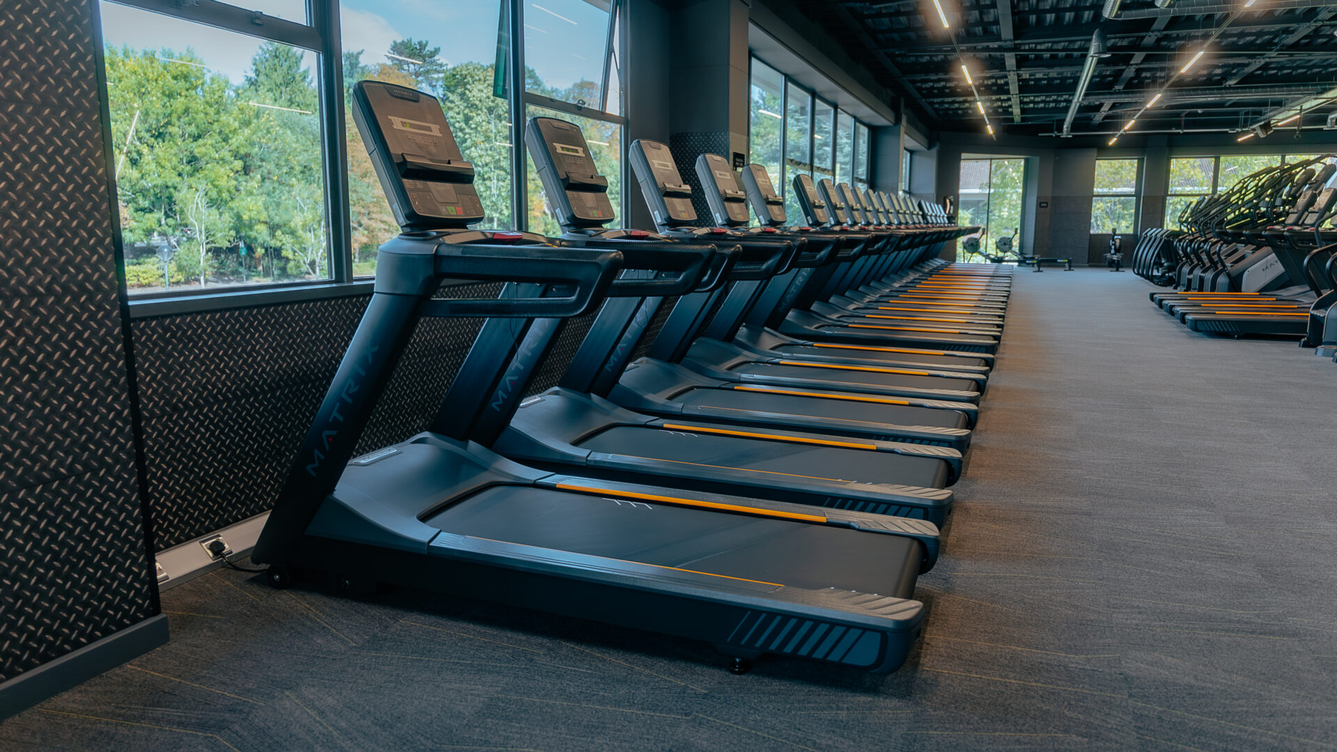 JD Gyms Basingstoke | No Contract | Open 24 Hours | Join Today