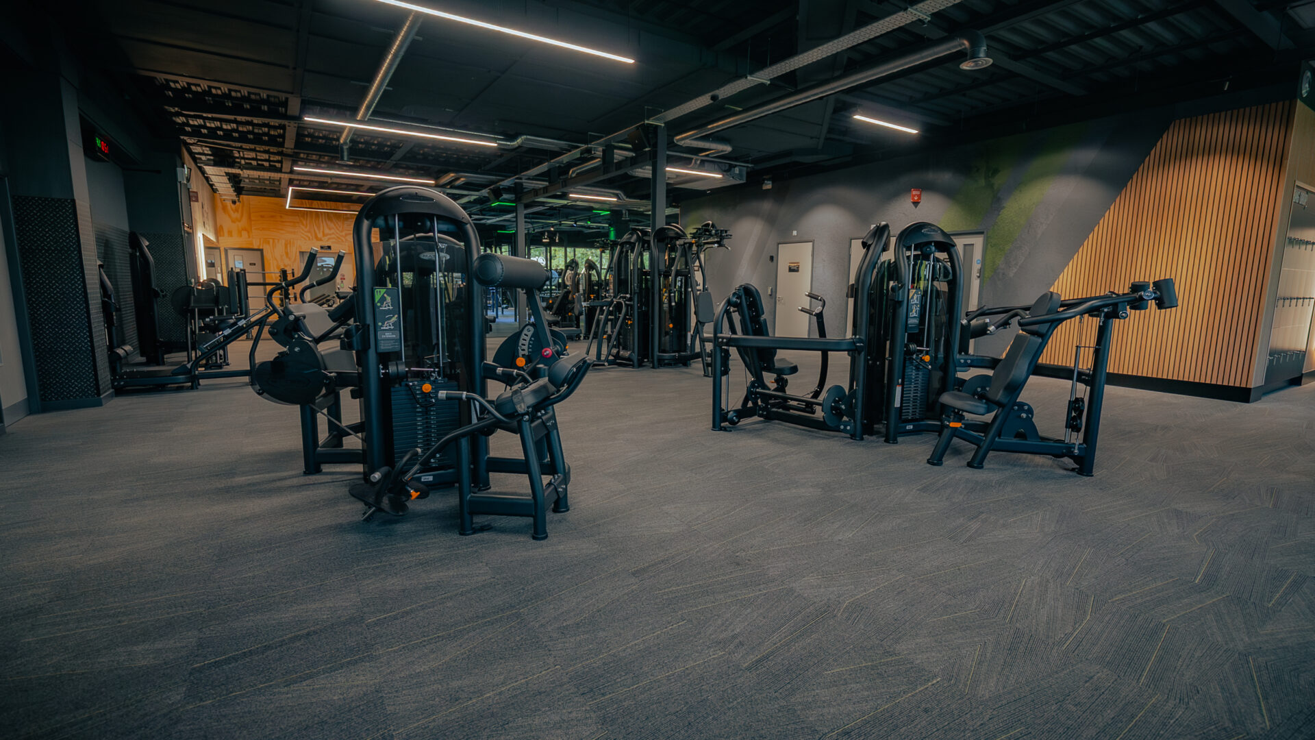 JD Gyms Basingstoke | 1st Month £5 | No Contract | Join Today