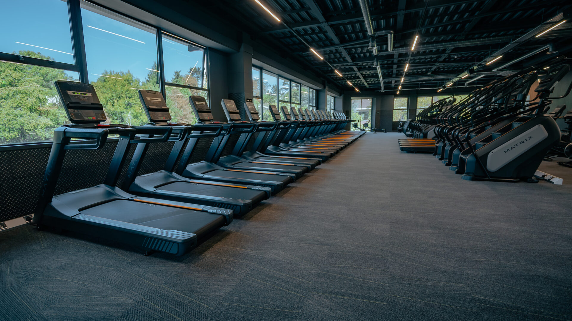 JD Gyms Basingstoke | 1st Month £5 | No Contract | Join Today