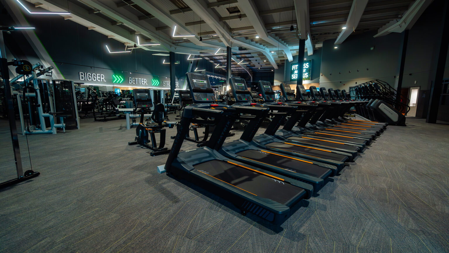 JD Gyms Ballymena | Join Online Now | Open 24 Hours